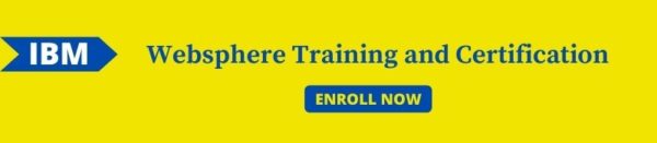 IBM Webshpere Transformation Extender | Gologica | Online Training