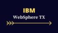 IBM Webshpere Transformation Extender | Gologica | Online Training